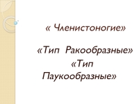 Презентация по биологии на темуТип членистоногие(7 класс) доклад, проект